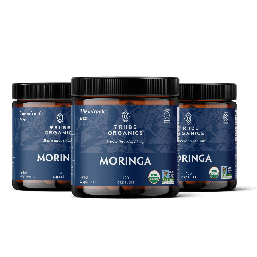 Organic Moringa 3-Pack 25 | TRIBE ORGANICS