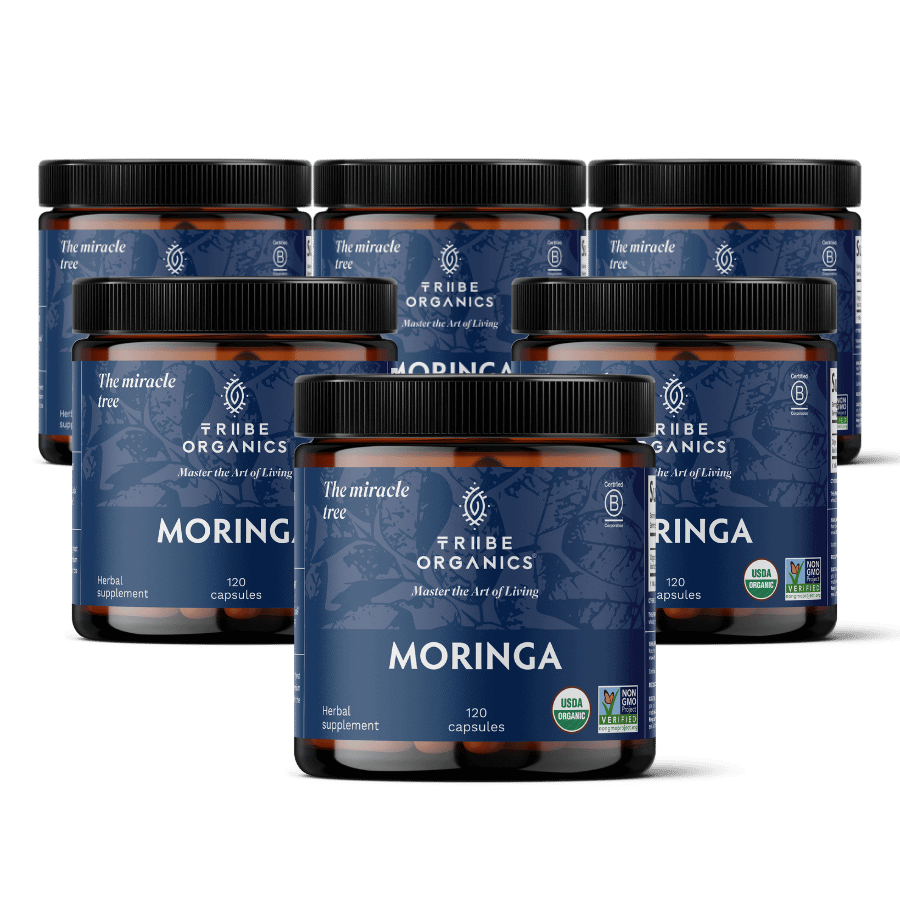 Organic Moringa 6-Pack 35 | TRIBE ORGANICS