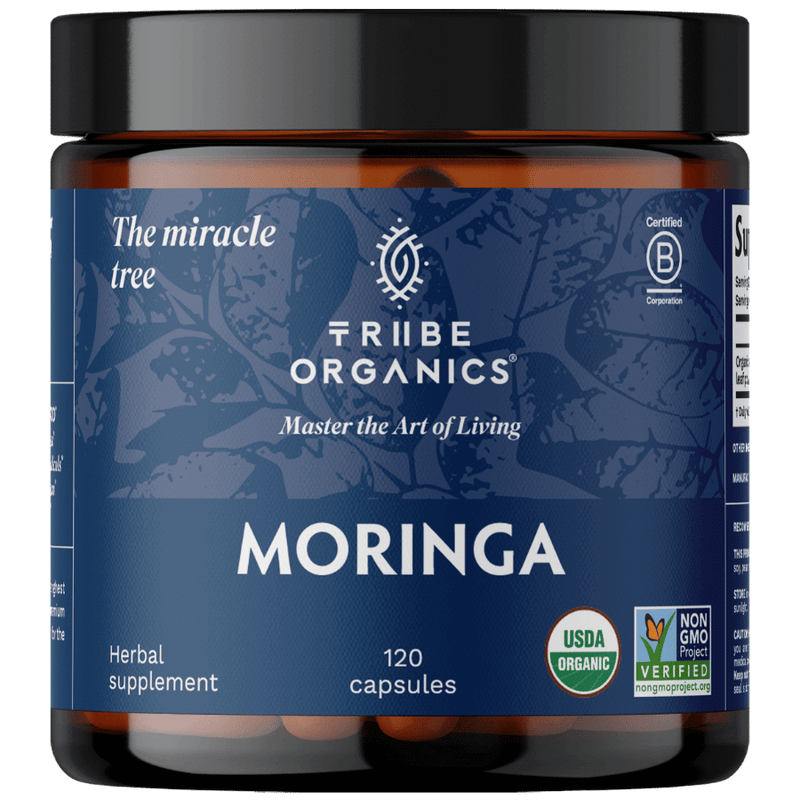 The Truth About Moringa for Pets – TRIBE ORGANICS