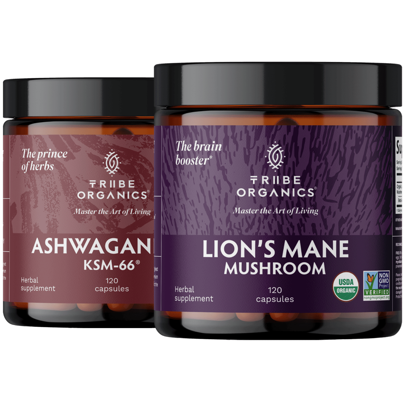 Nootropic Duo – TRIBE ORGANICS